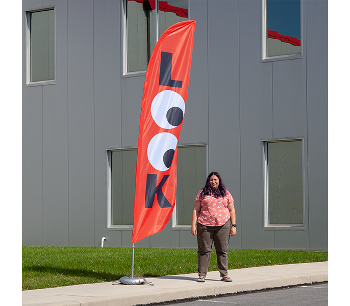 Look Flags | Low Prices + Free Shipping | Vispronet